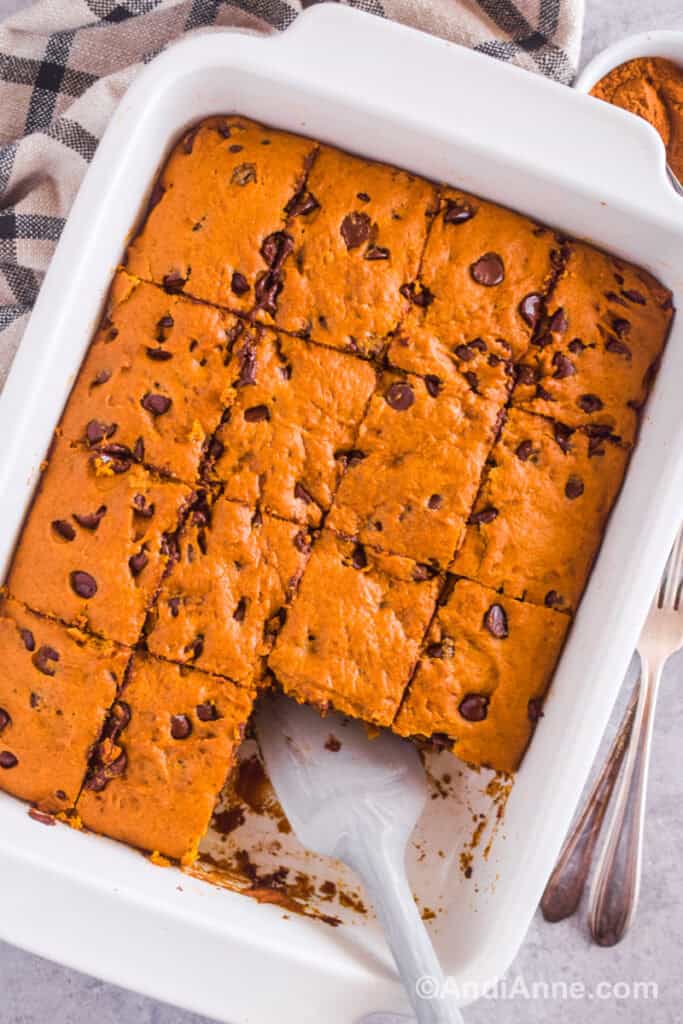 Pumpkin Chocolate Chip Bars - Andi Anne