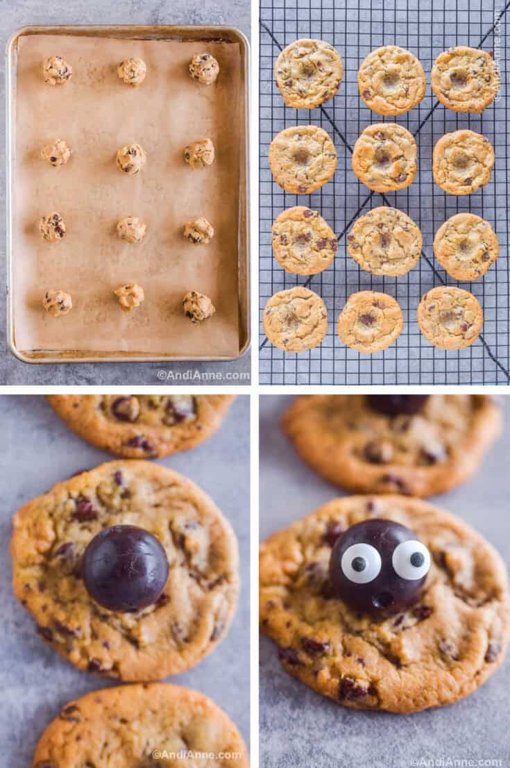 Spider Cookies - Andi Anne